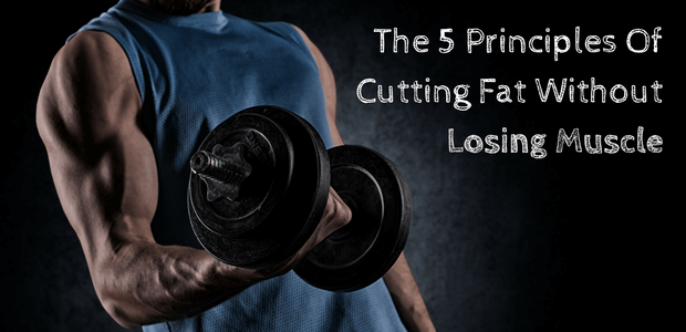 The 5 Principles Of Cutting Fat Without Losing Muscle – CrazyBulk Australia