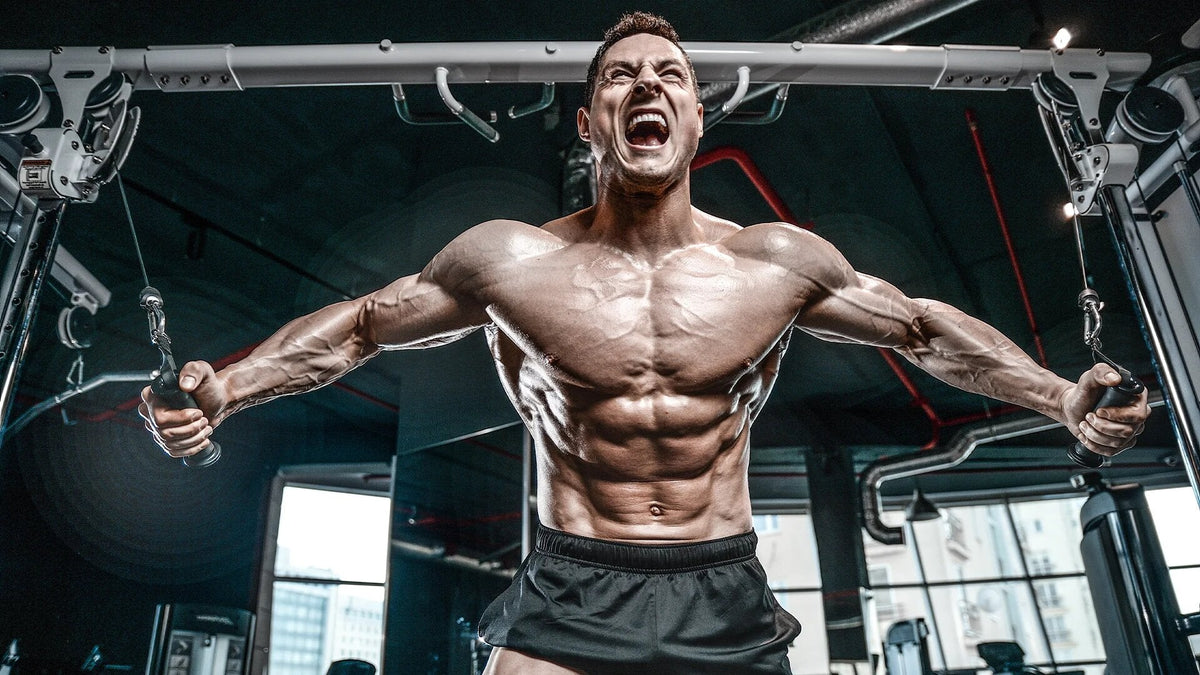 Steroids Back Acne: What Is It (And Can You Avoid It?) – CrazyBulk ...